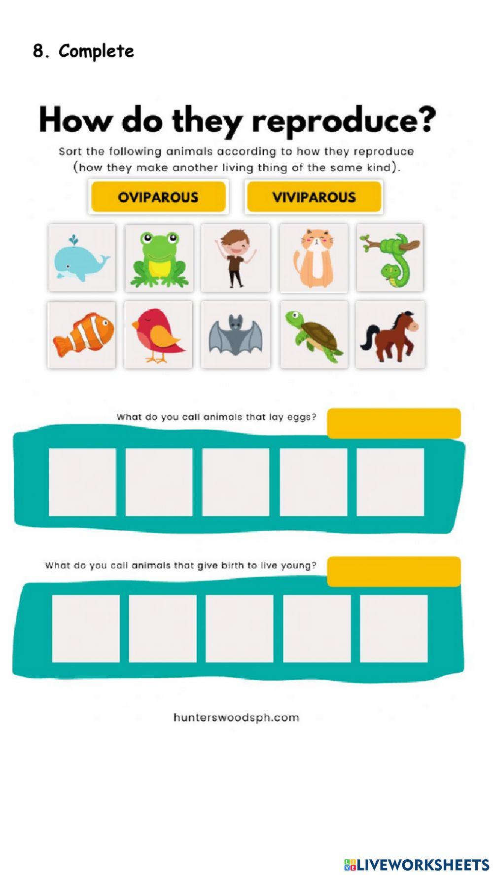 Primary 4 Test Living things | JESUS_GIMENO | Live