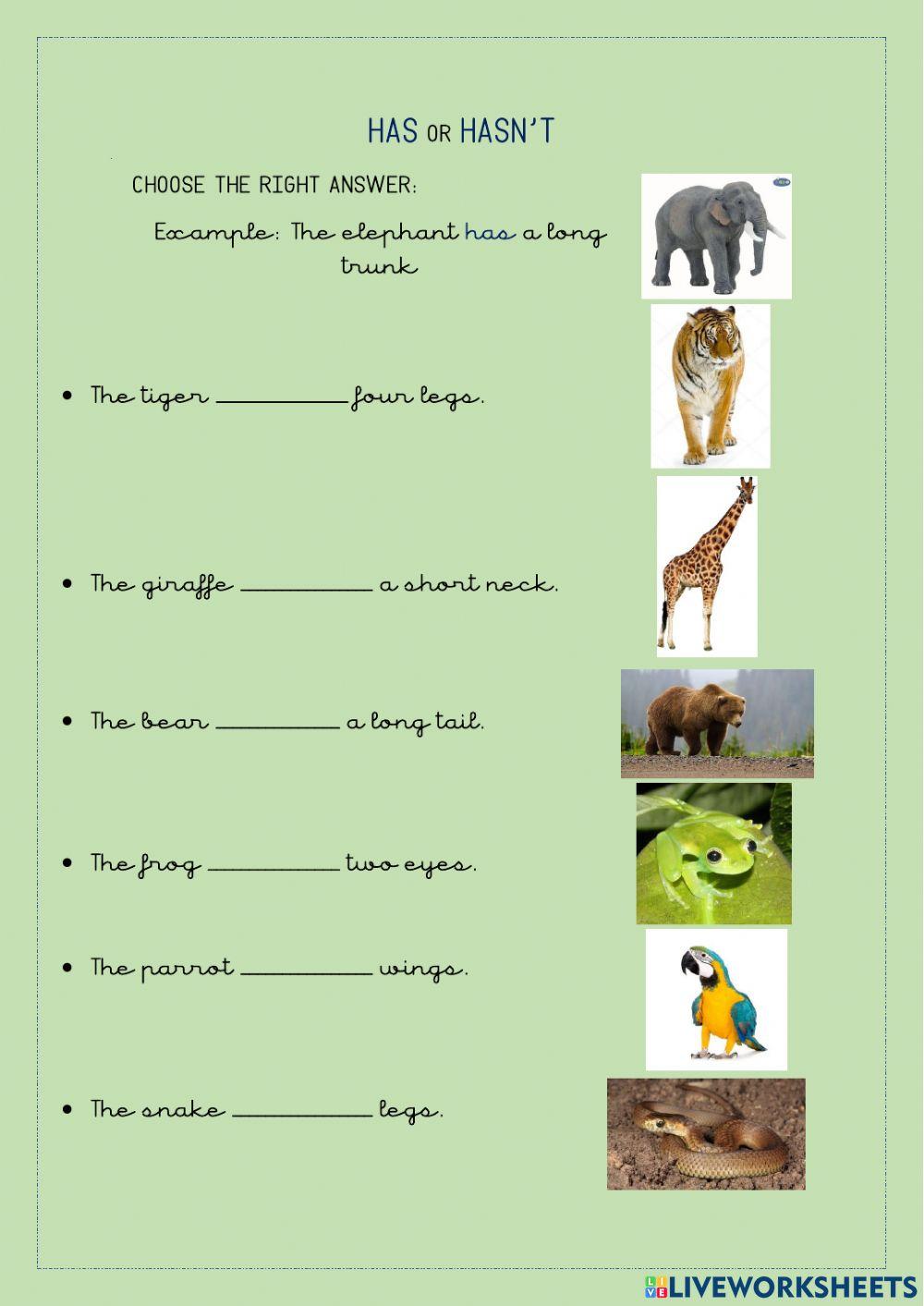 Has or hasnt an… | Free Interactive Worksheets | 795641