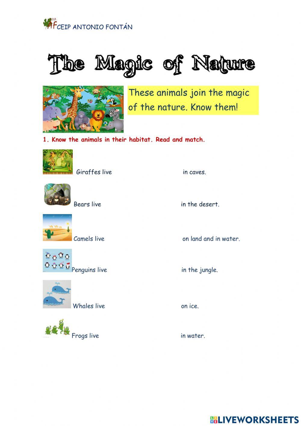 The magic of nature worksheet | Live Worksheets