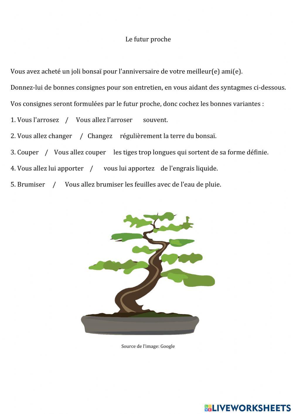 Le futur proche - donner des consignes interactive worksheet | Live ...