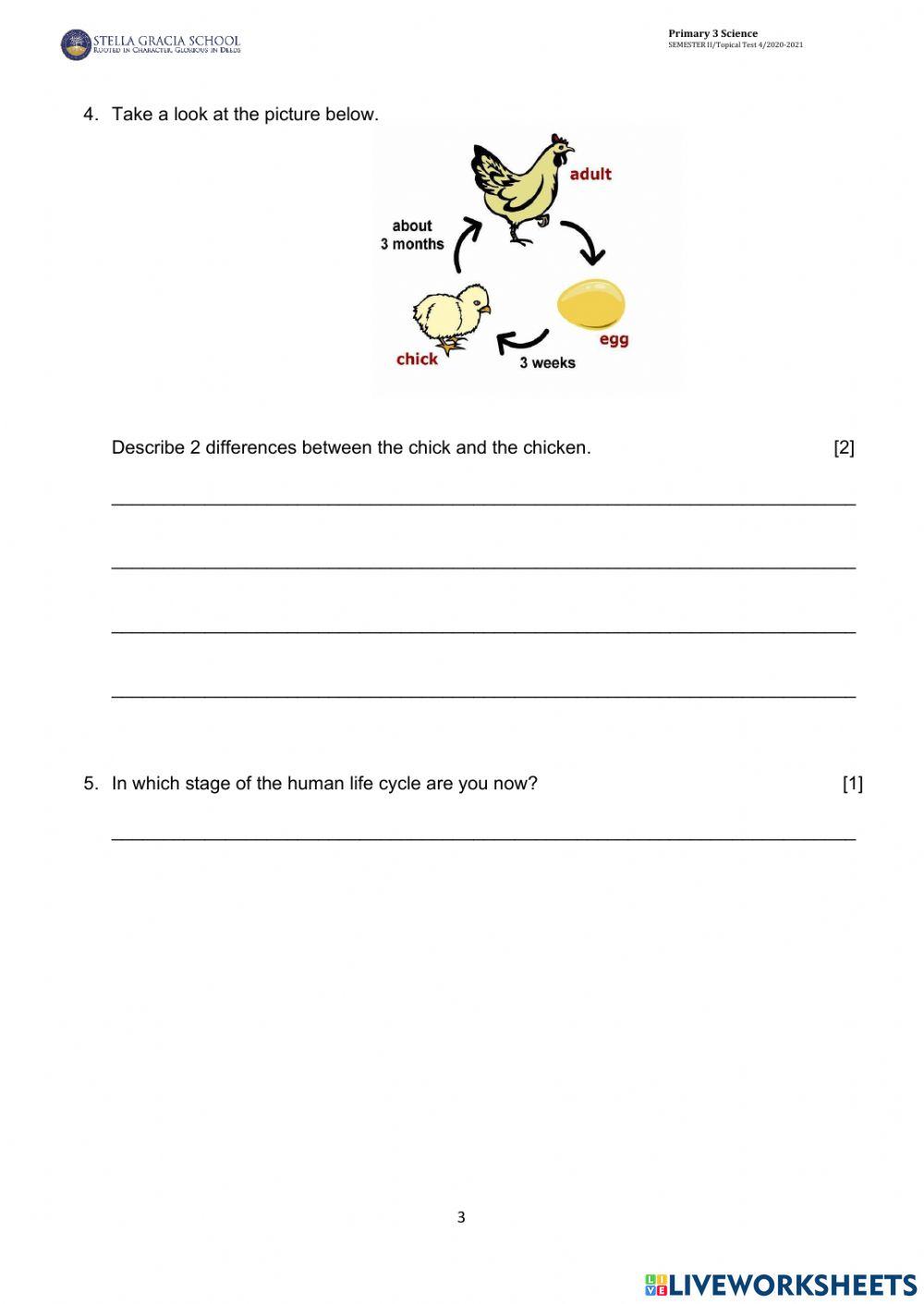 P3 Science- TT4… | Free Interactive Worksheets | 6469097