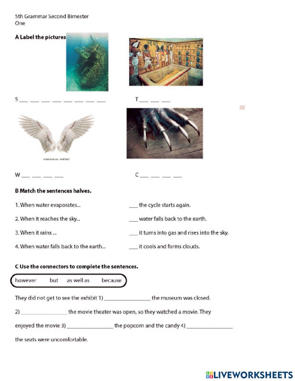 What Happened? | Free Interactive Worksheets | 797110