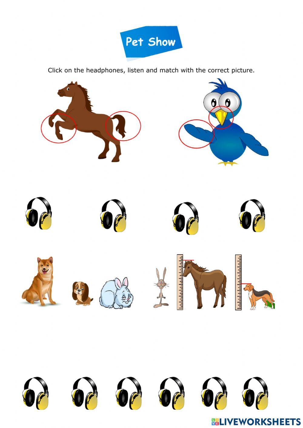 Pet Show 797339 | Lina | Live Worksheets