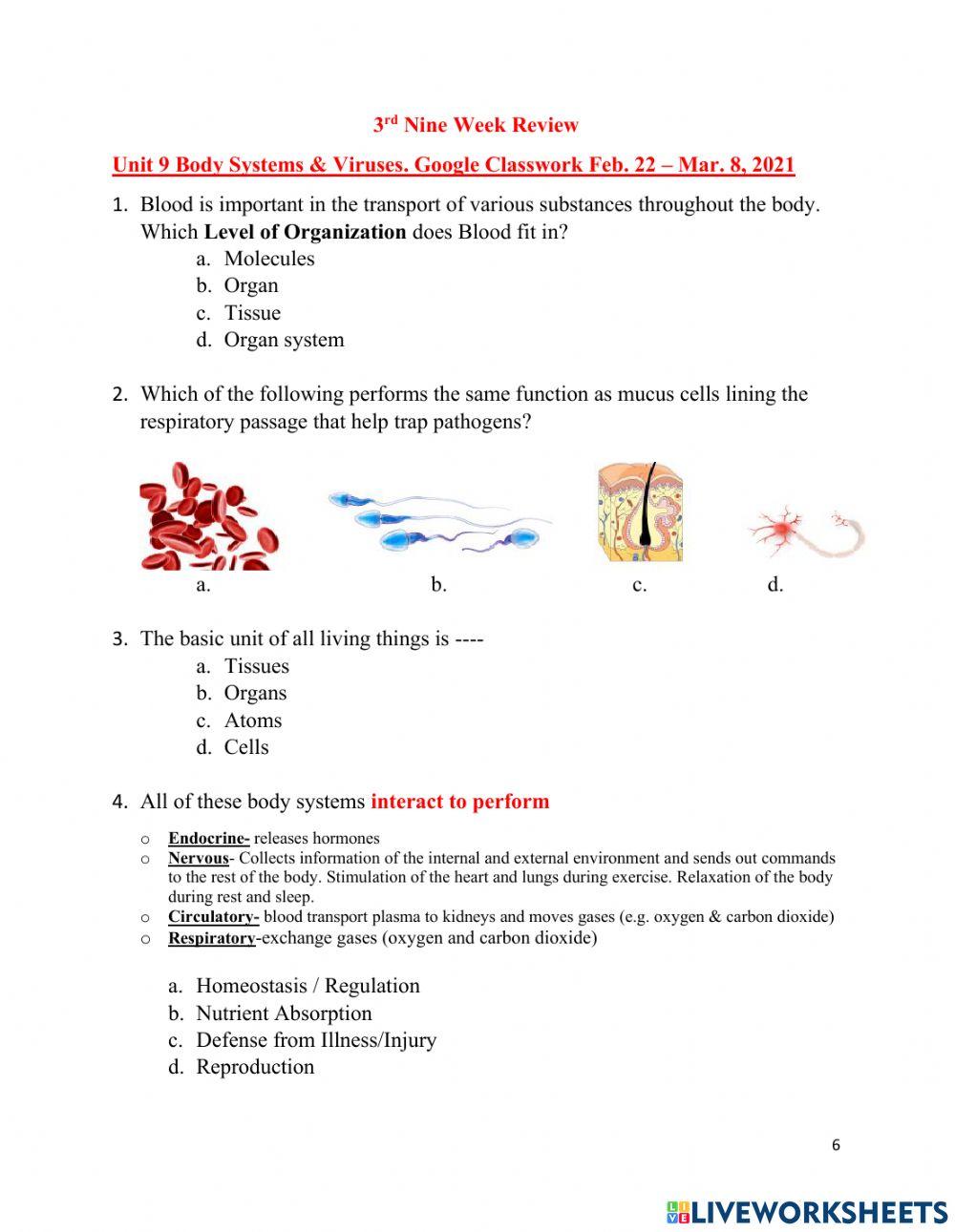 3rd Nine Week Review: Unit 7 Evolution, Unit 8 Taxonomy, and Unit 9 ...