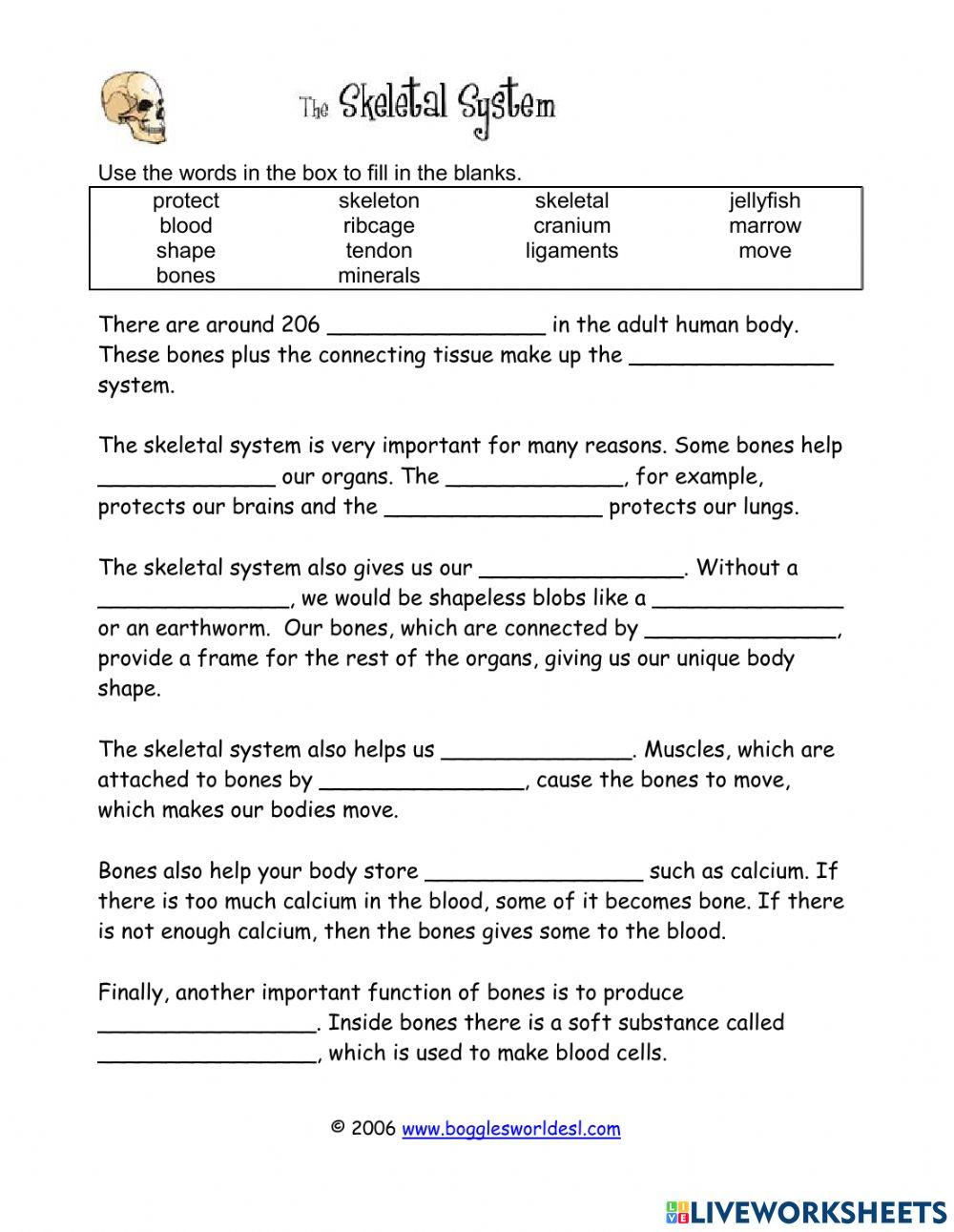 The Skeleton and its Functions online exercise for | Live Worksheets