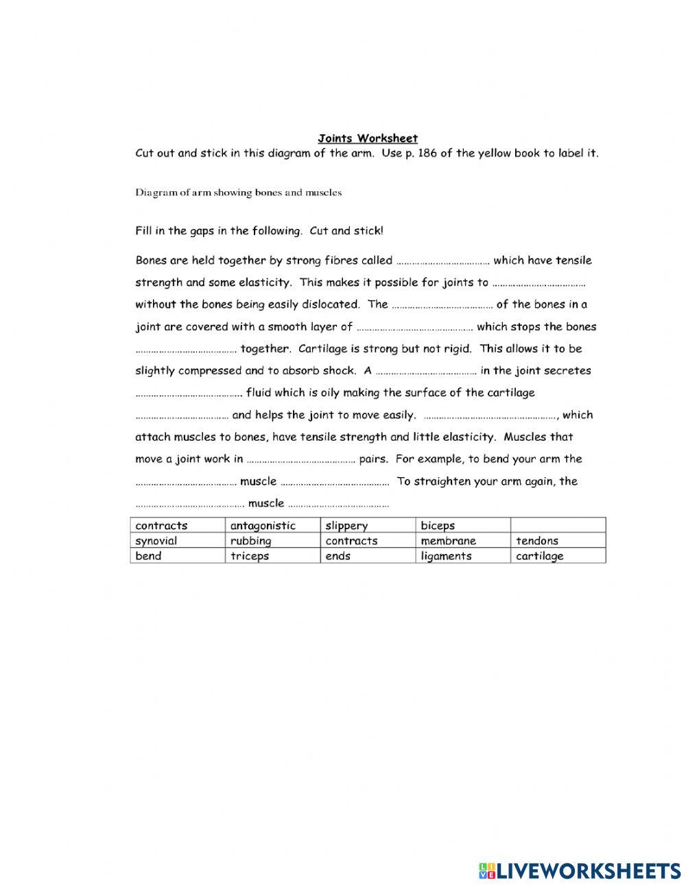 Joints workshee… | Free Interactive Worksheets | 6470441