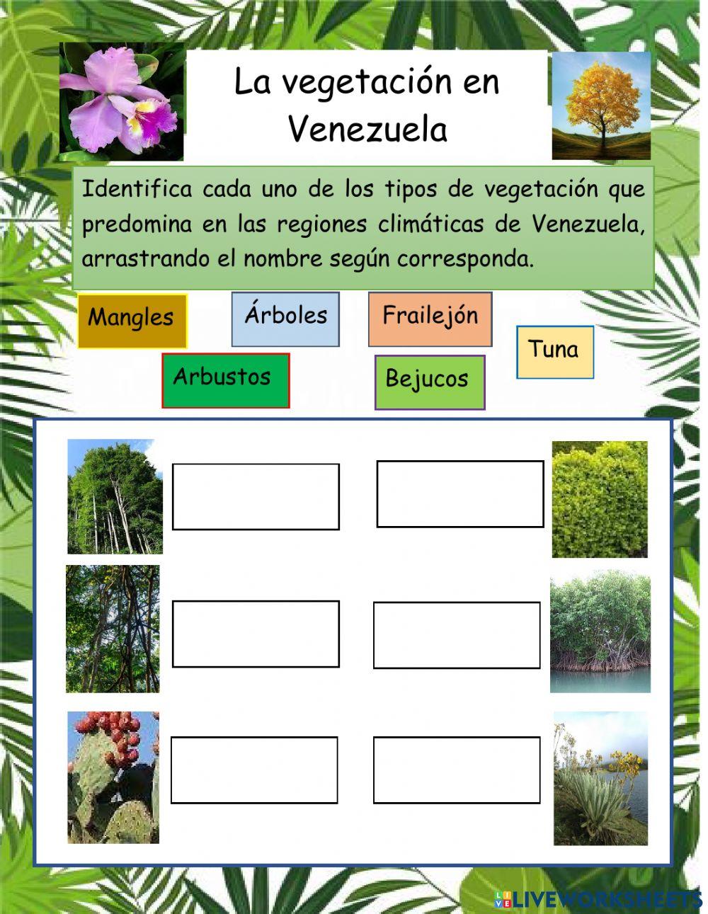 La vegetación en Venezuela. worksheet | Live Worksheets