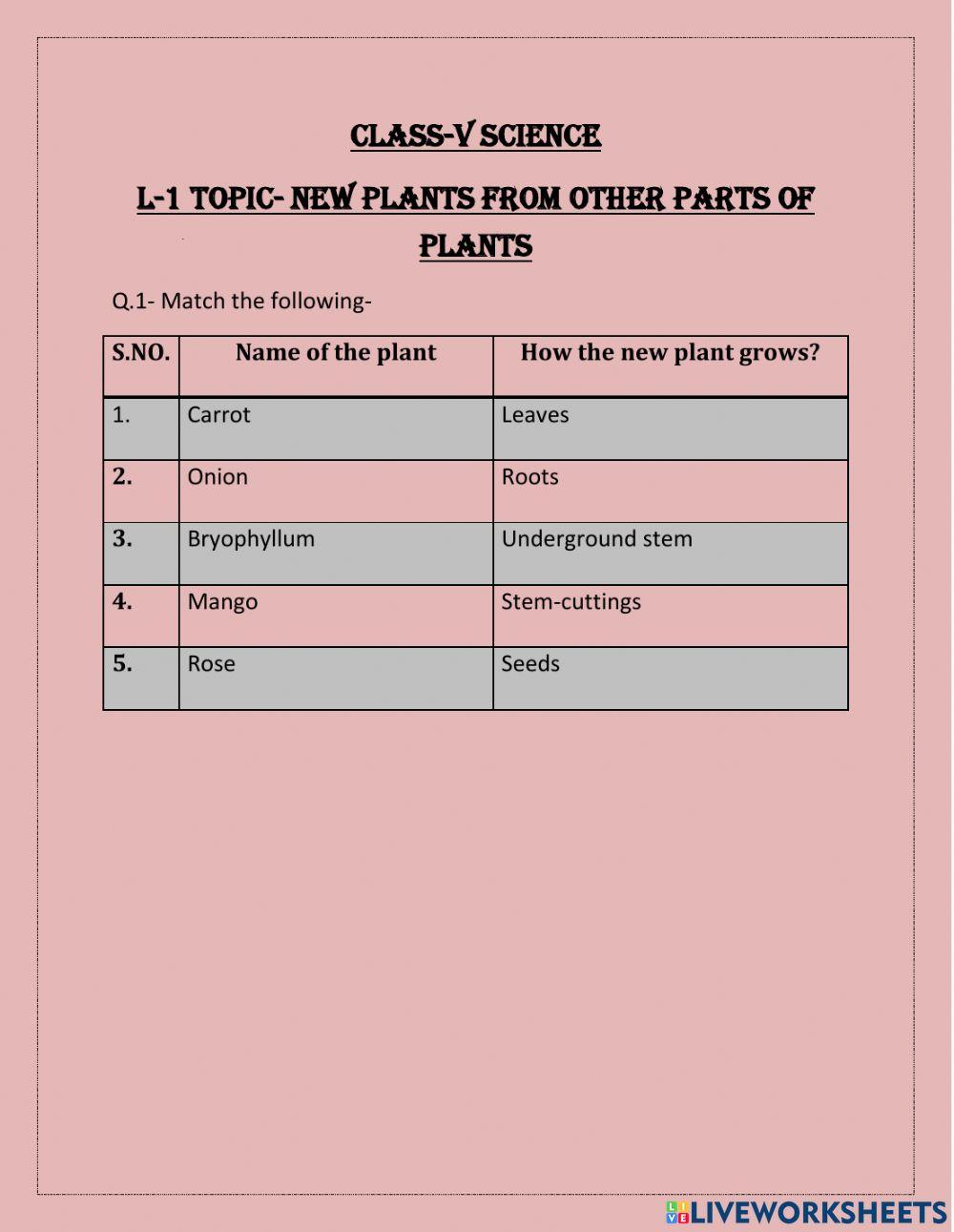 Science c-5 worksheet | Live Worksheets