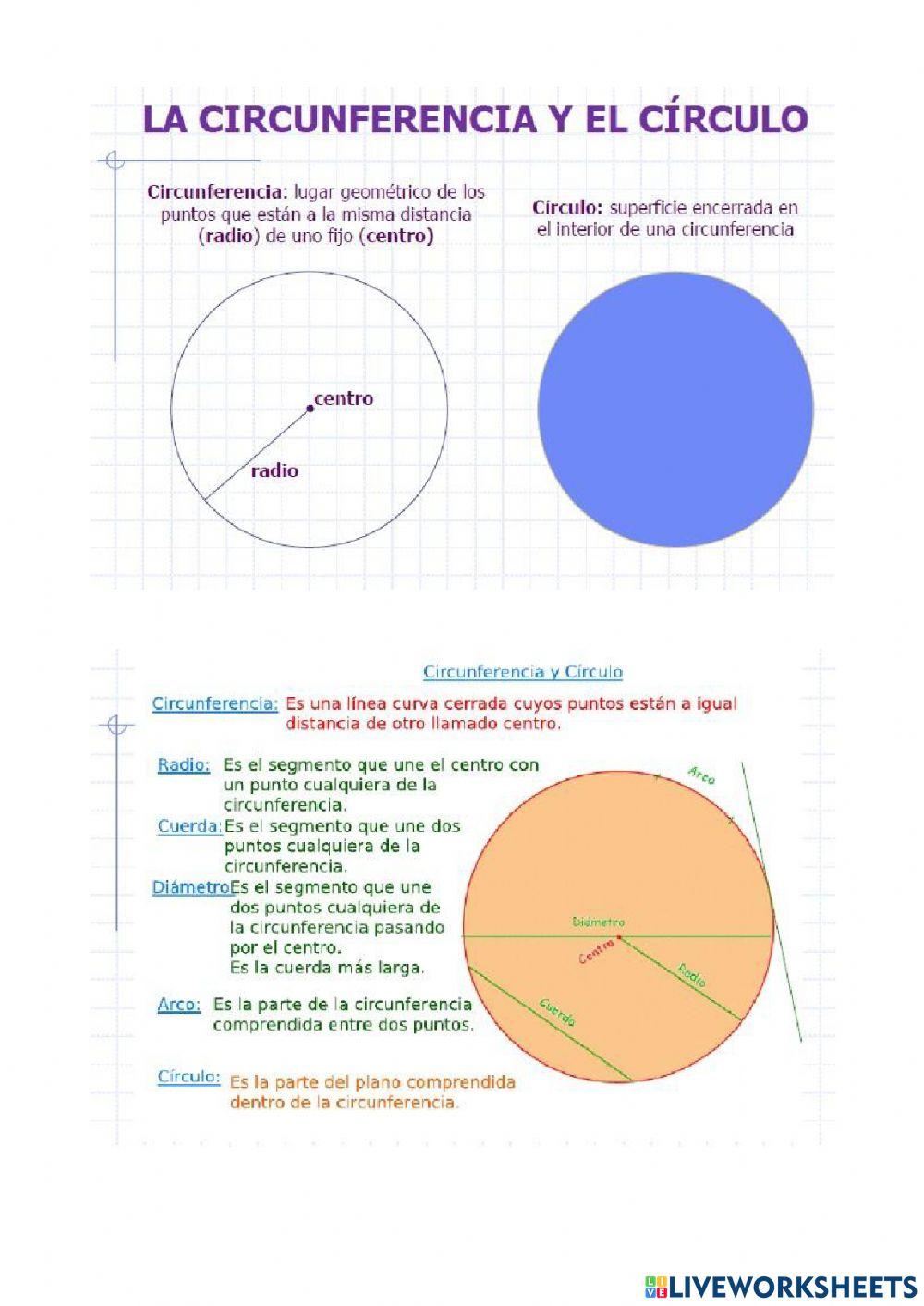 La circunferencia y el círculo activity | Live Worksheets