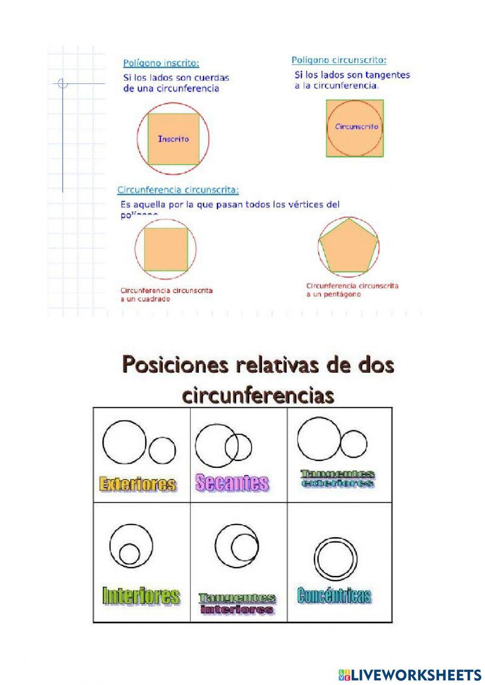 La circunferencia y el círculo activity | Live Worksheets