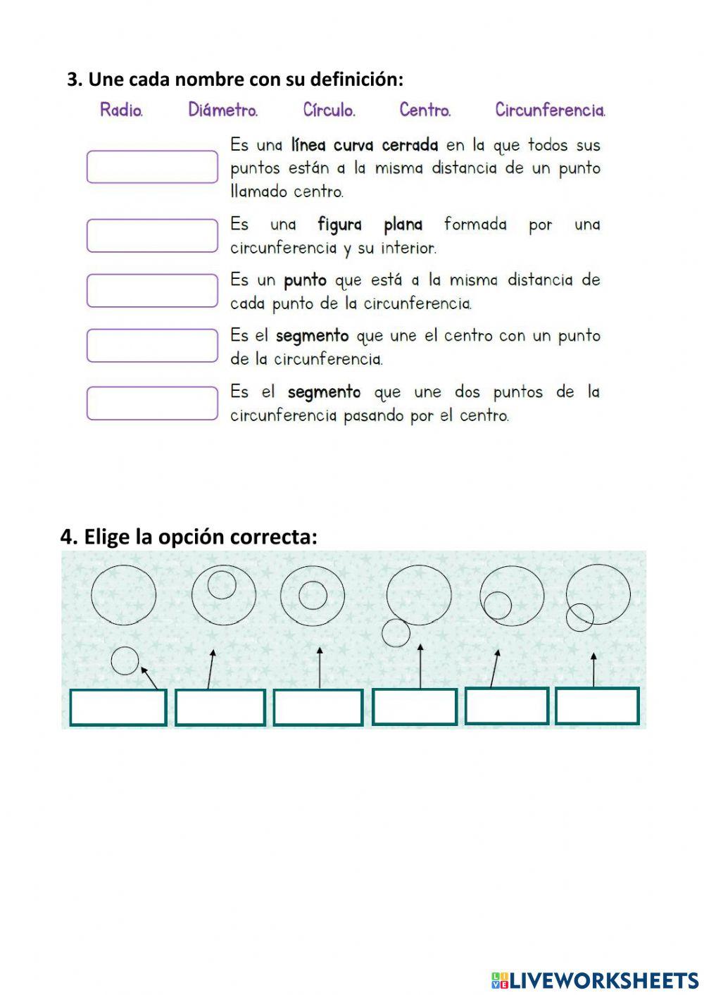 La circunferencia y el círculo activity | Live Worksheets