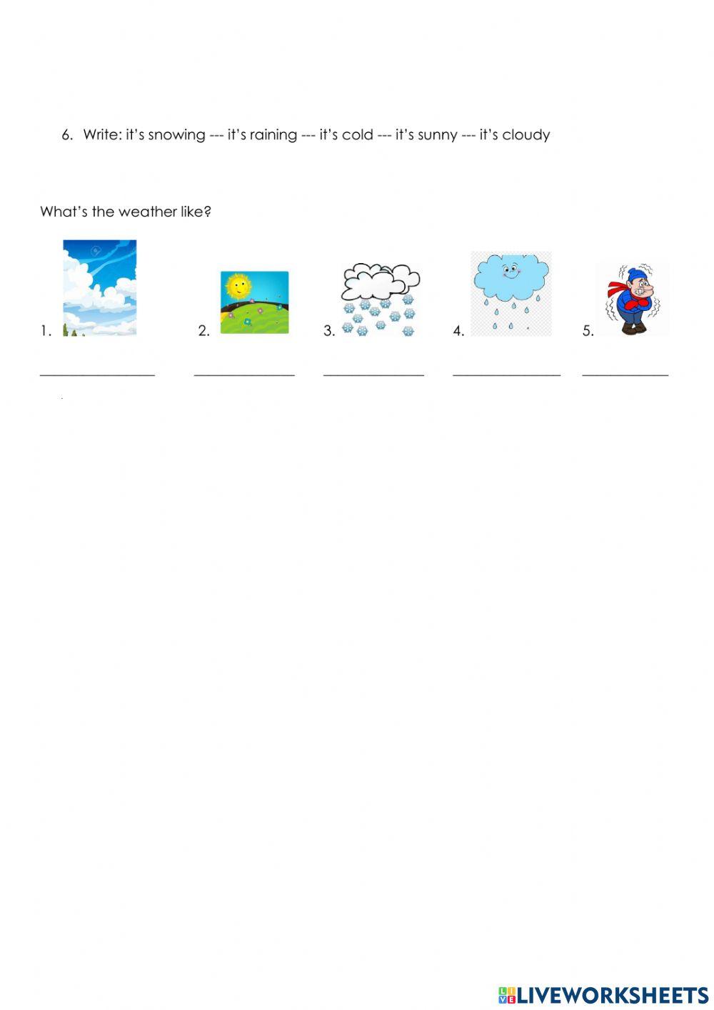 Vocabulary test: moduly 5, a' class worksheet | Live Worksheets