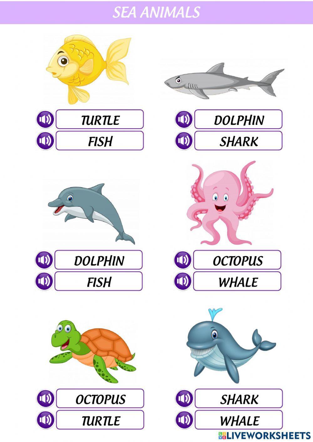 SEA ANIMALS choose worksheet | Live Worksheets