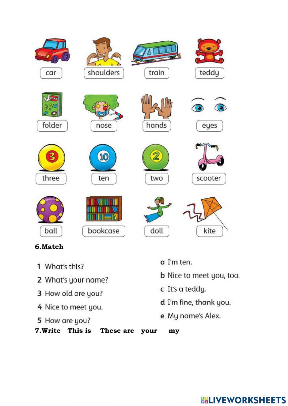 Inroduction worksheet | Live Worksheets