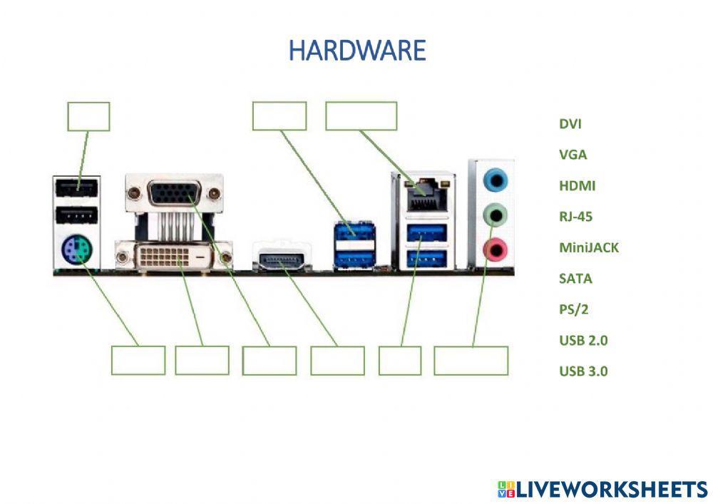 Placa base | Free Interactive Worksheets | 900304