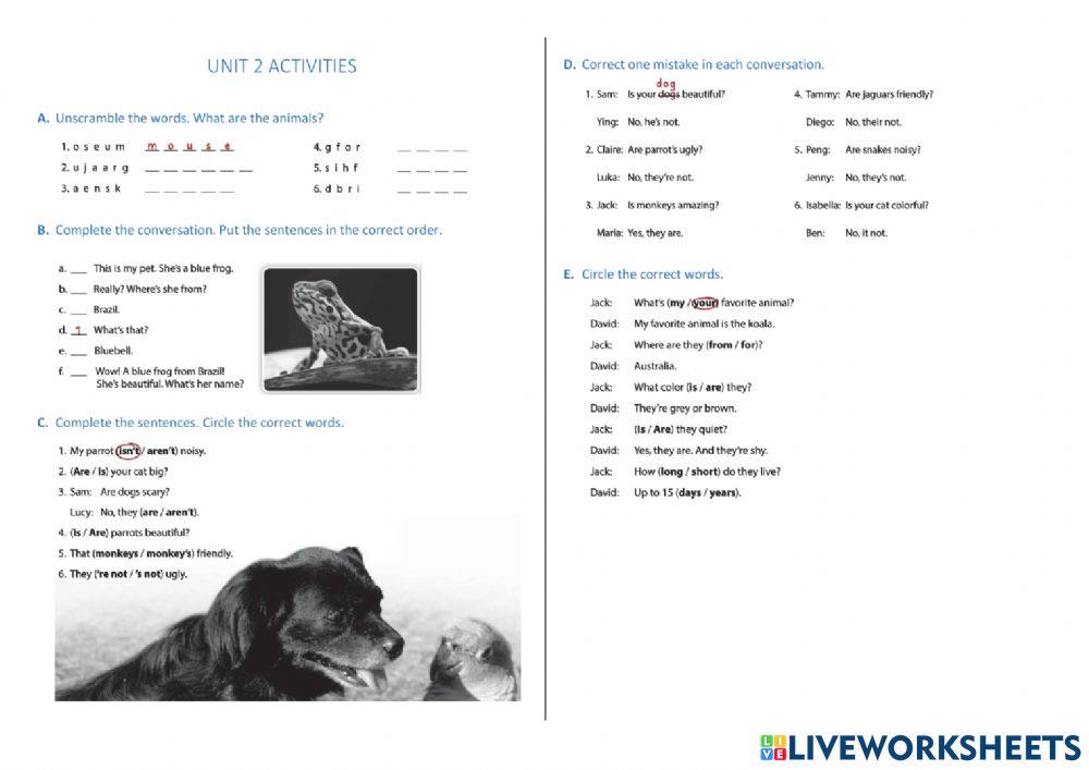 Unit 2 - Monkeys are Amazing online exercise for | Live Worksheets