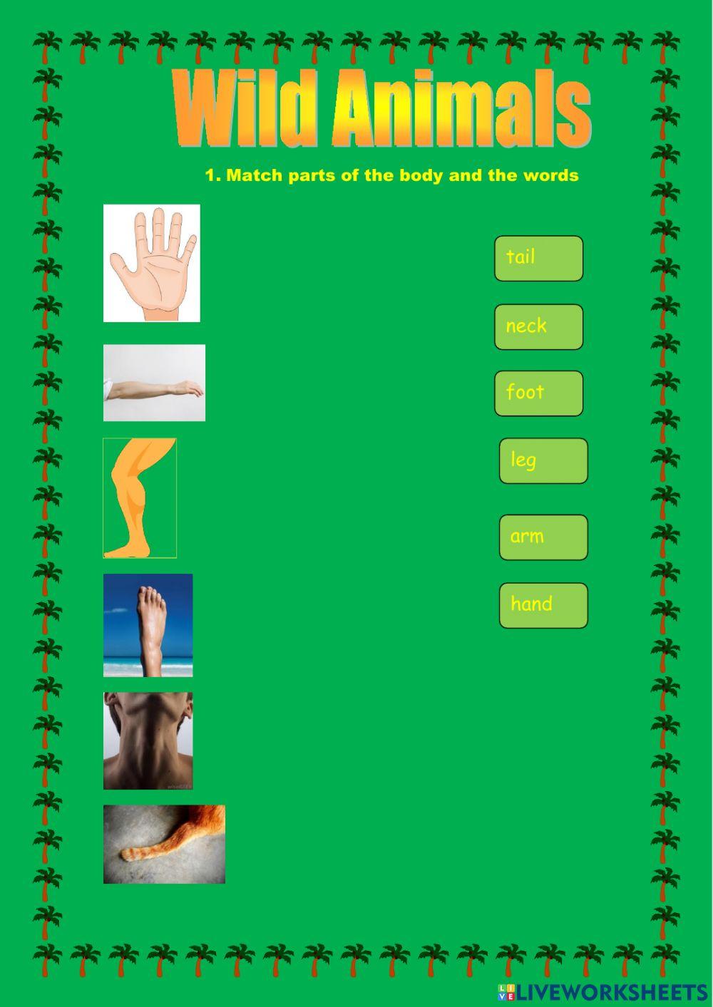 Animal Body Parts Online Worksheet For Grade 1 Live Worksheets animal-body-parts-online-worksheet-for-grade-1-live-worksheets