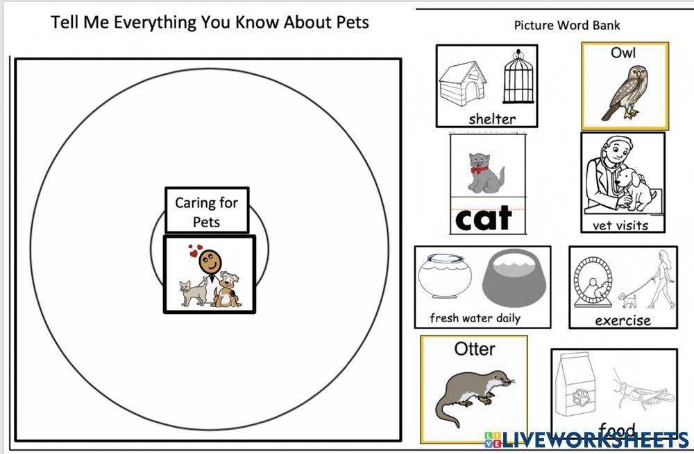 Live worksheets - English Tell Me Everything You Know About Pets 4 ...