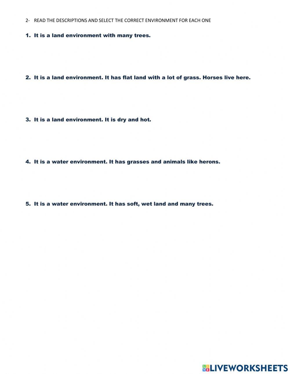 Environment Types 6531137 | MARIA MARIN | Live