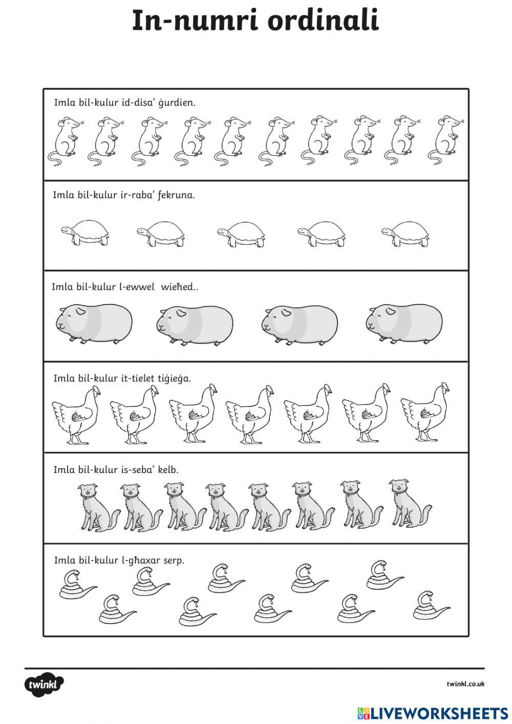In-numri ordina… | Free Interactive Worksheets | 6532792