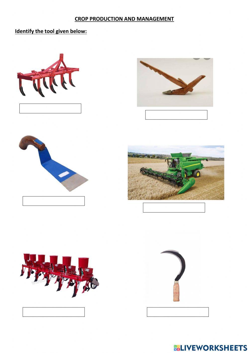 Crop production… | Free Interactive Worksheets | 905504