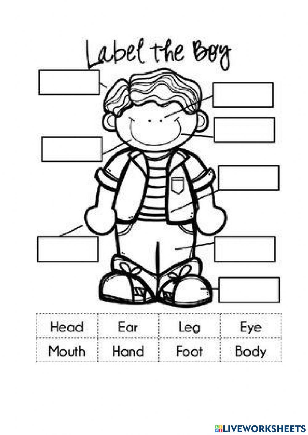 My body klasa I test online exercise for | Live Worksheets