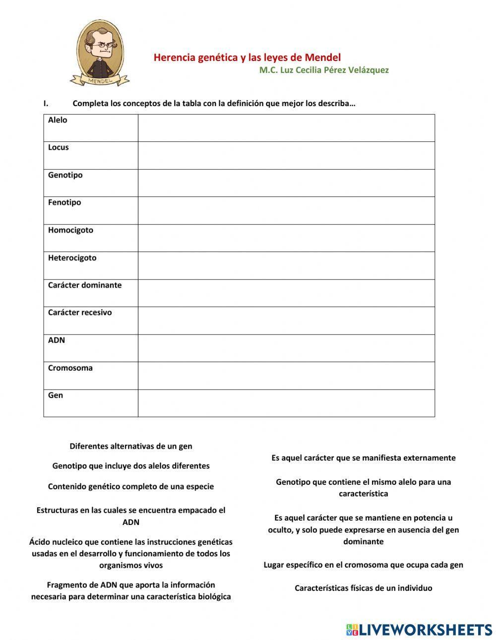 Conceptos de ge… | Free Interactive Worksheets | 908453 Conceptos de ge… | Free Interactive Worksheets | 908453