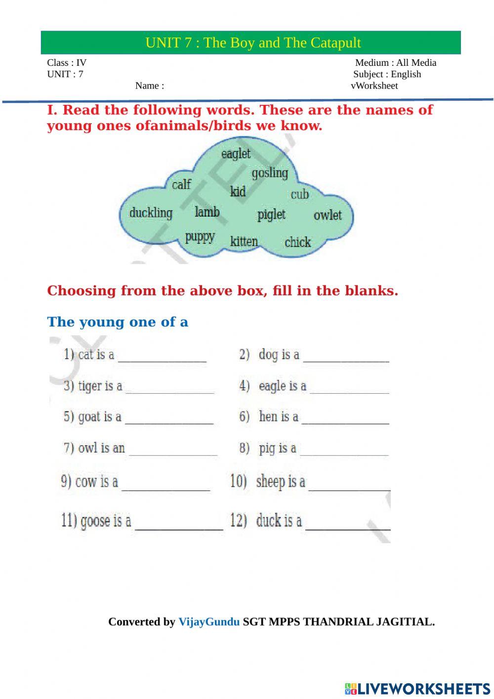 4th eng the boy and the catupult pre reading 3 by Vijay Gundu worksheet | Live Worksheets