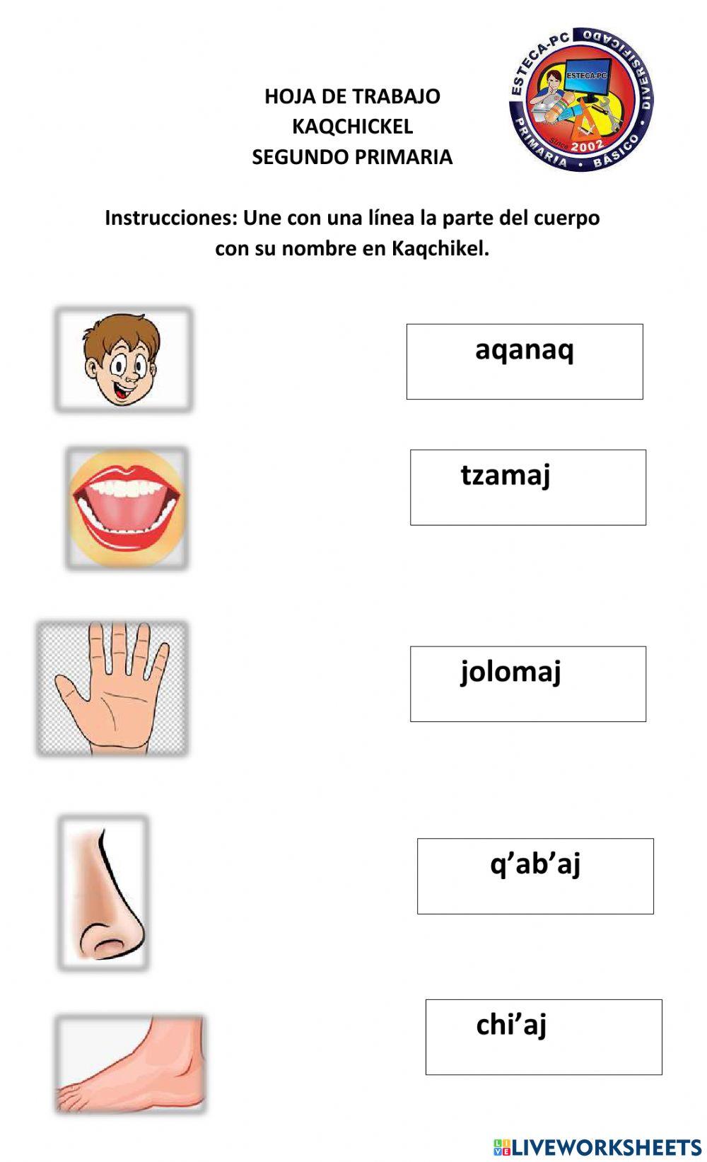 Partes Del Cuerpo En Kaqchikel Worksheet Live Worksheets, 58% OFF Partes Del Cuerpo En Kaqchikel Worksheet Live Worksheets, 58% OFF