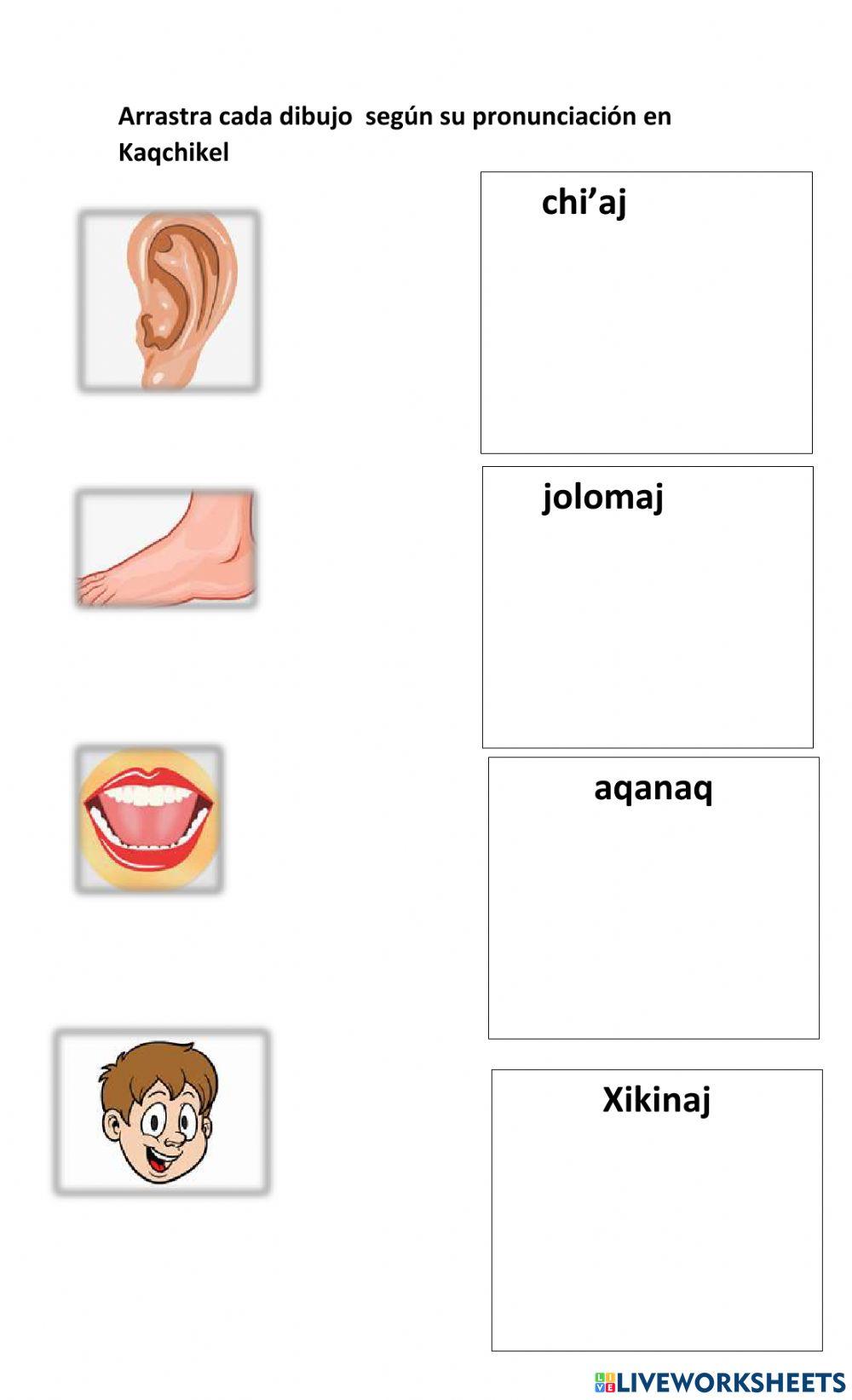 Partes Del Cuerpo En Kaqchikel Worksheet Live Worksheets, 43% OFF Partes Del Cuerpo En Kaqchikel Worksheet Live Worksheets, 43% OFF