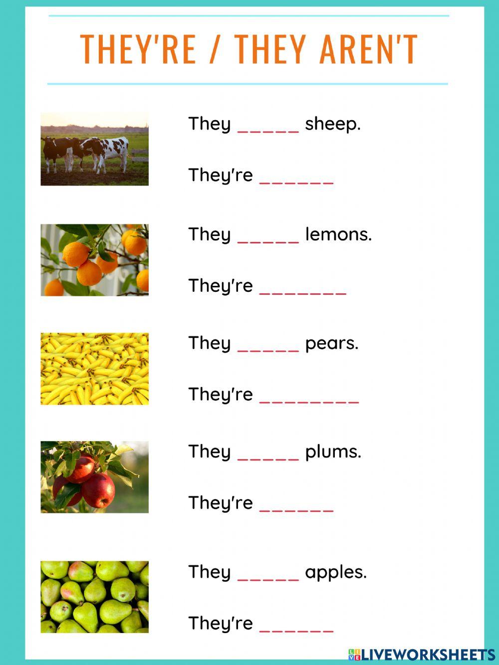 271069 | They are - They aren't | Amairani Hernández