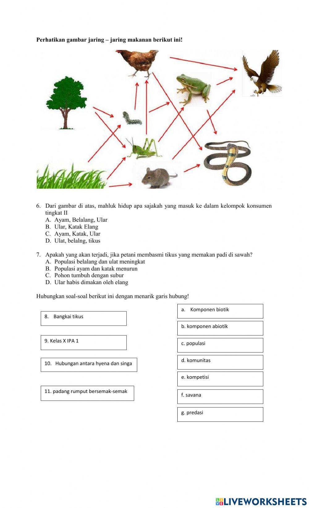 Latihan Ekosistem Sesi 1 worksheet | Live Worksheets