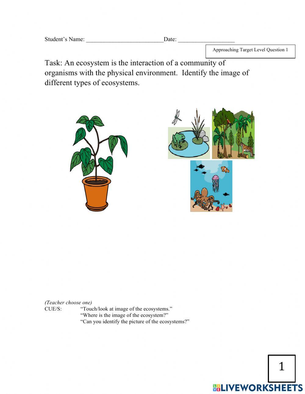 Ecosystem online practice | Live Worksheets