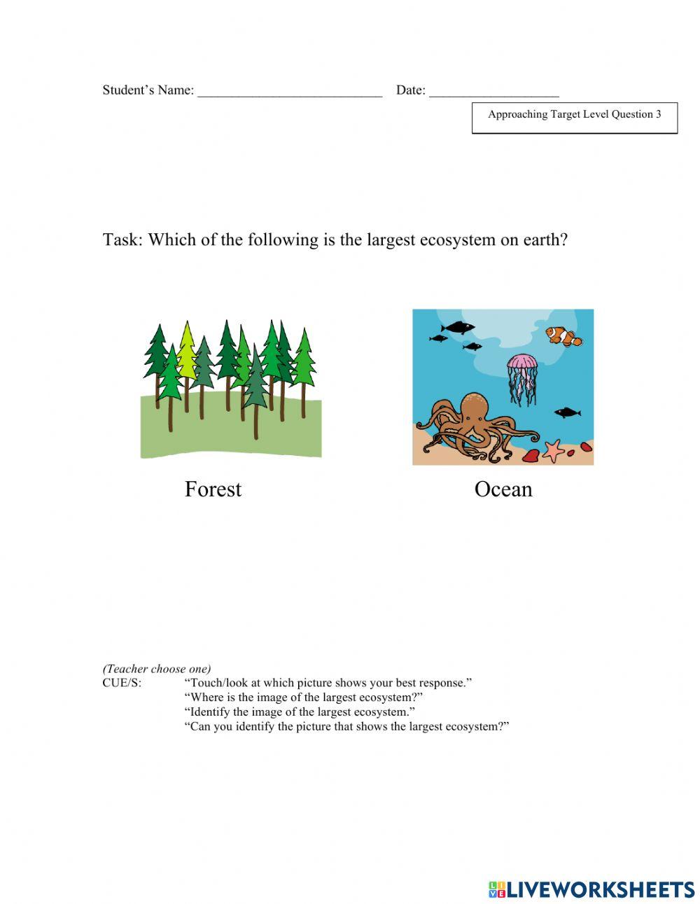 Ecosystem online practice | Live Worksheets