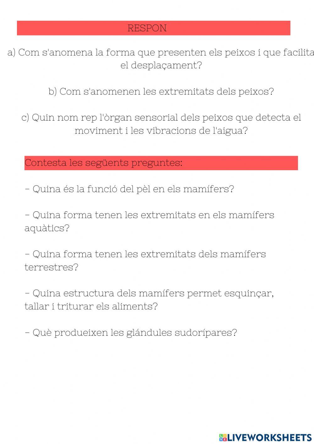 ELS ANIMALS online pdf worksheet | Live Worksheets