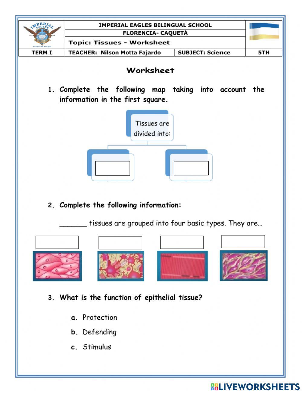 Animal Tissues 4957061 | NilsonMotta | Live Worksheets