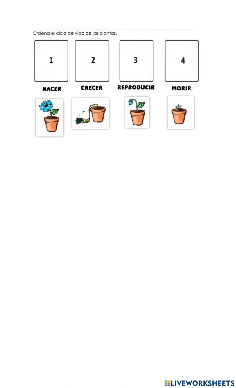 Los seres vivos interactive activity for 2 b | Live Worksheets