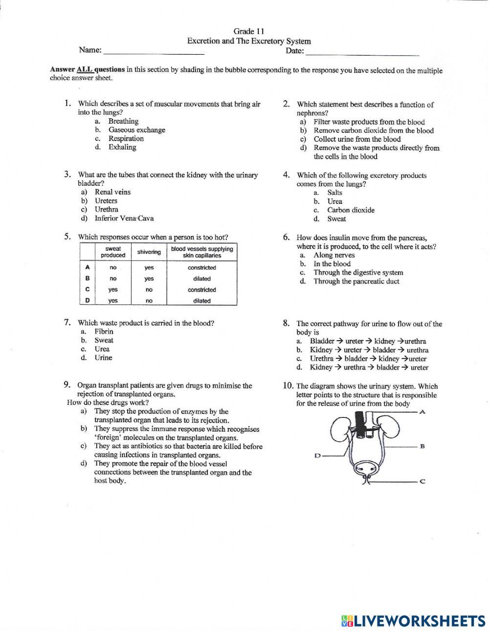 Excretion Test | Free Interactive Worksheets | 4958563