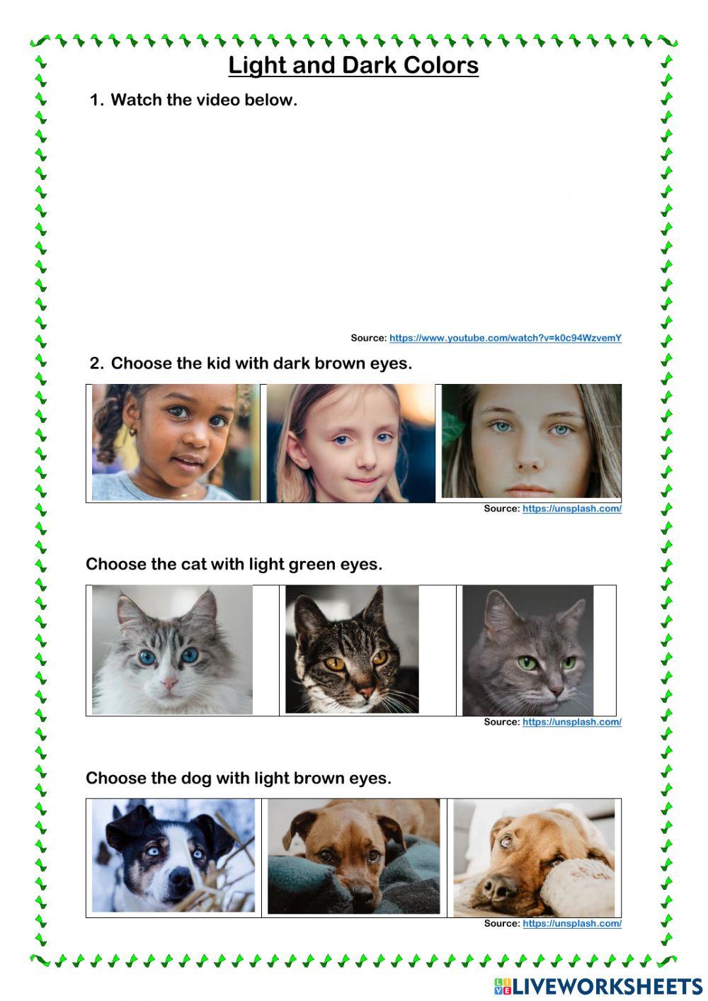 Light and Dark … | Free Interactive Worksheets | 913578