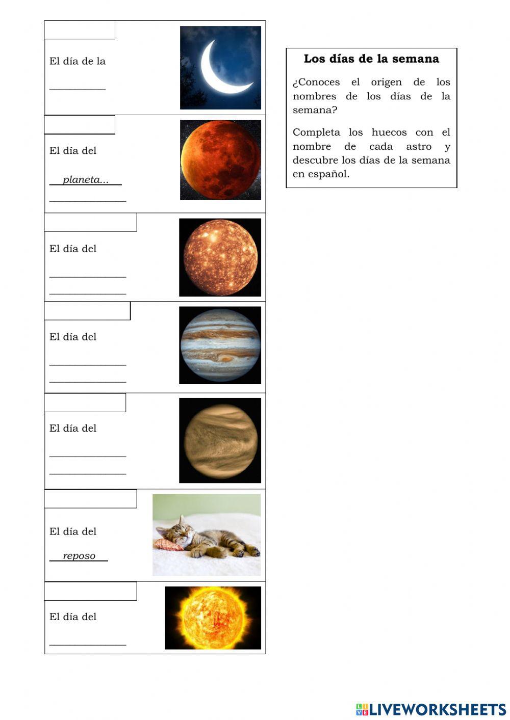 Los días de la semana interactive activity for A1 | Live Worksheets