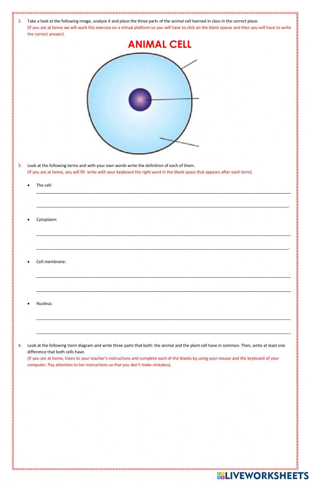 Exam-science worksheet | Live Worksheets