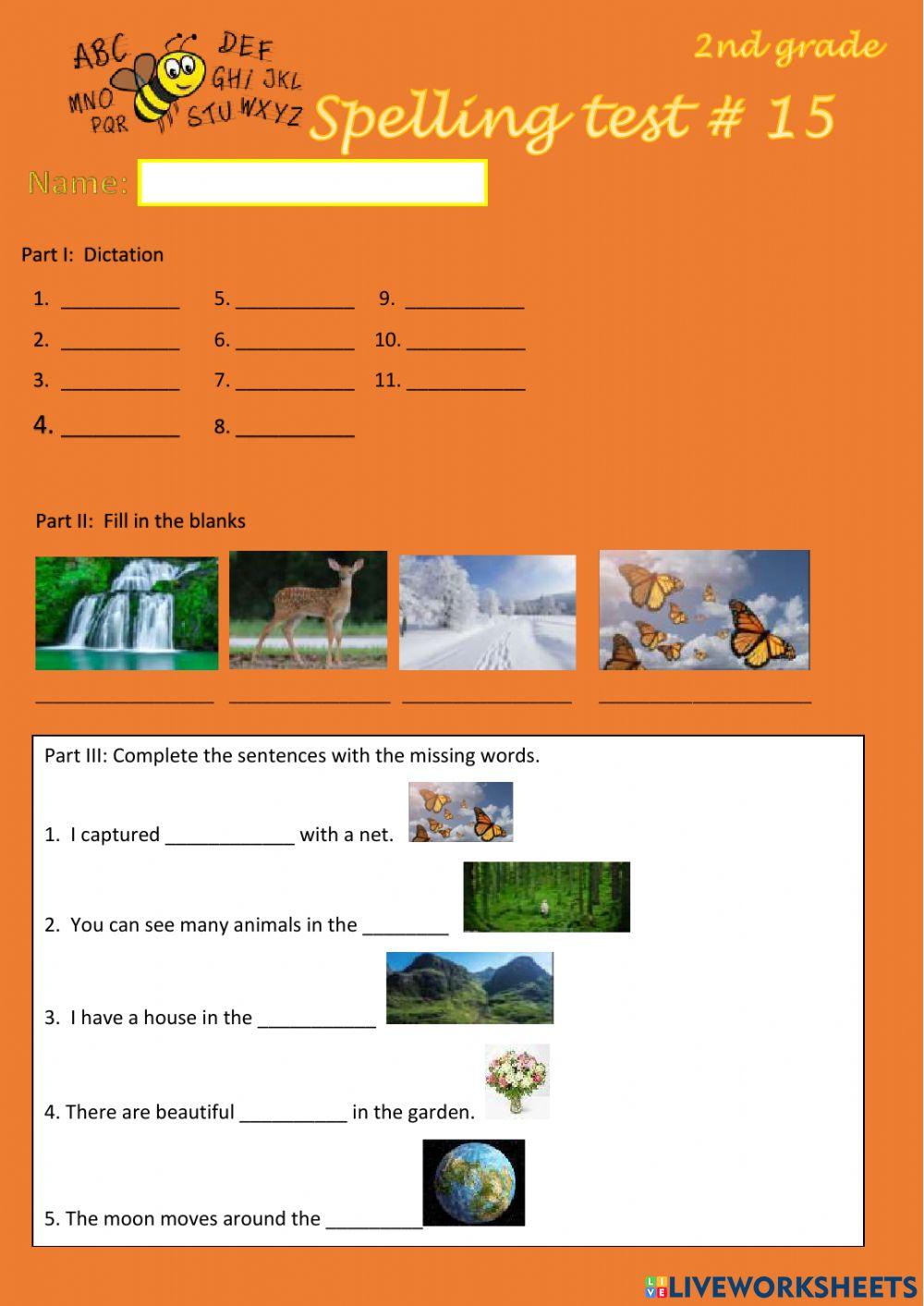 Spelling test 15 worksheet | Live Worksheets