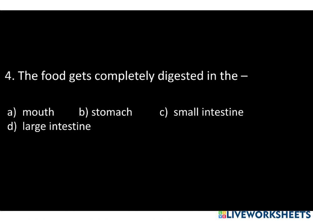 My body online exercise for 4 | Live Worksheets