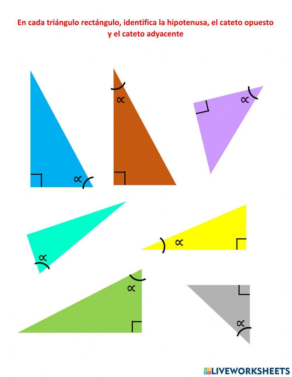 Triangulo Rectangulo