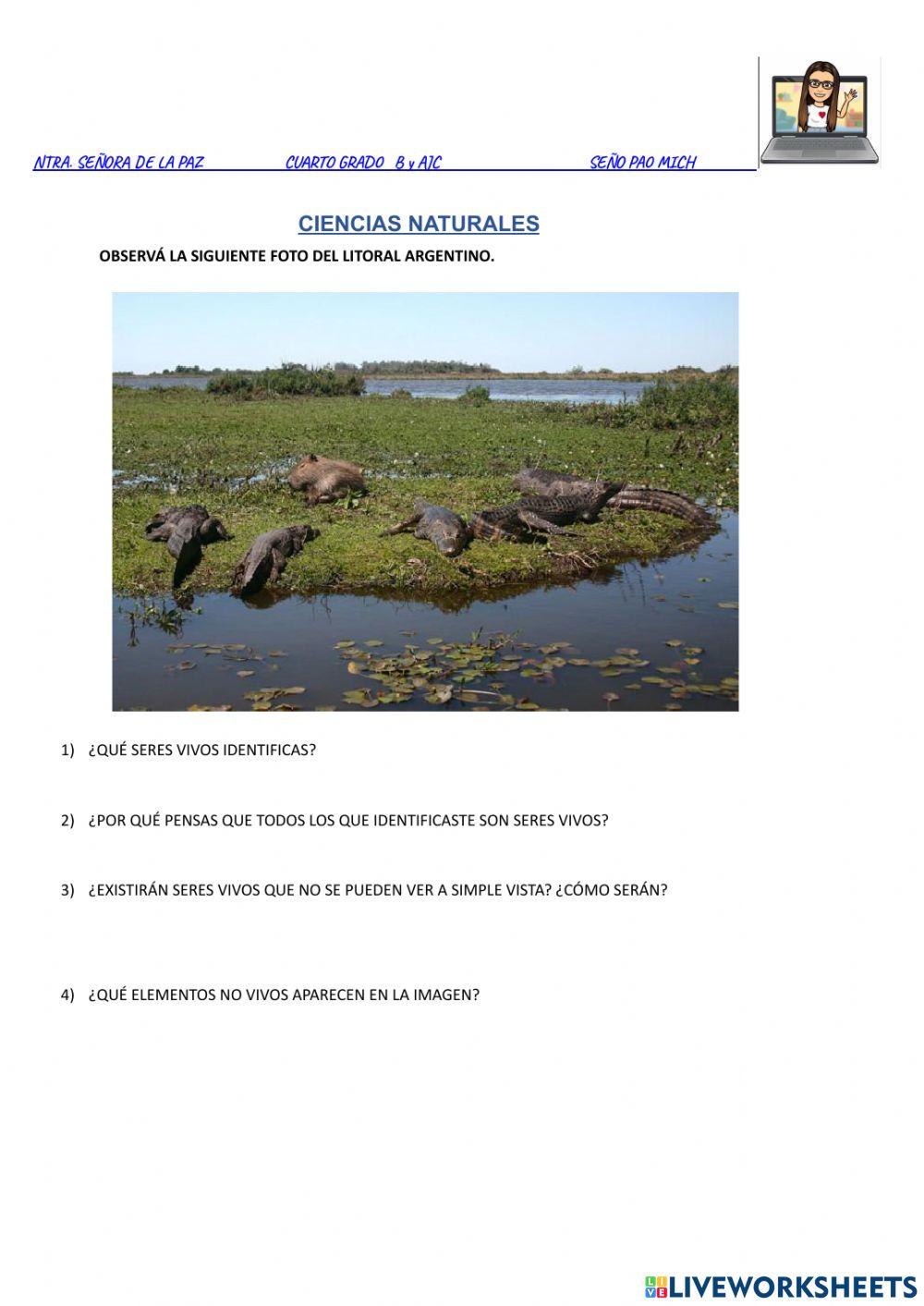 Seres vivos activity for CUARTO | Live Worksheets