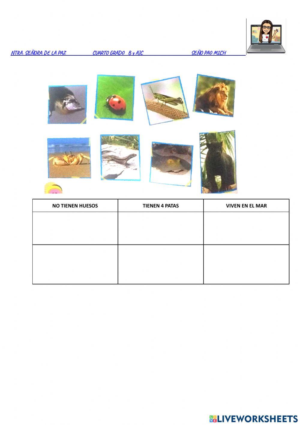 Seres vivos activity for CUARTO | Live Worksheets