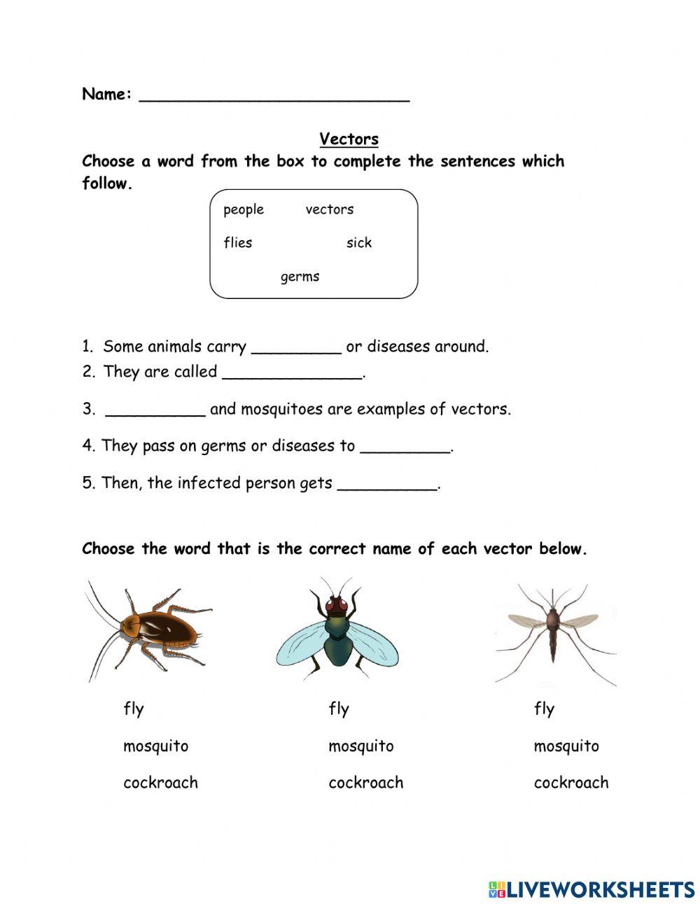 Vectors | Free Interactive Worksheets | 920511
