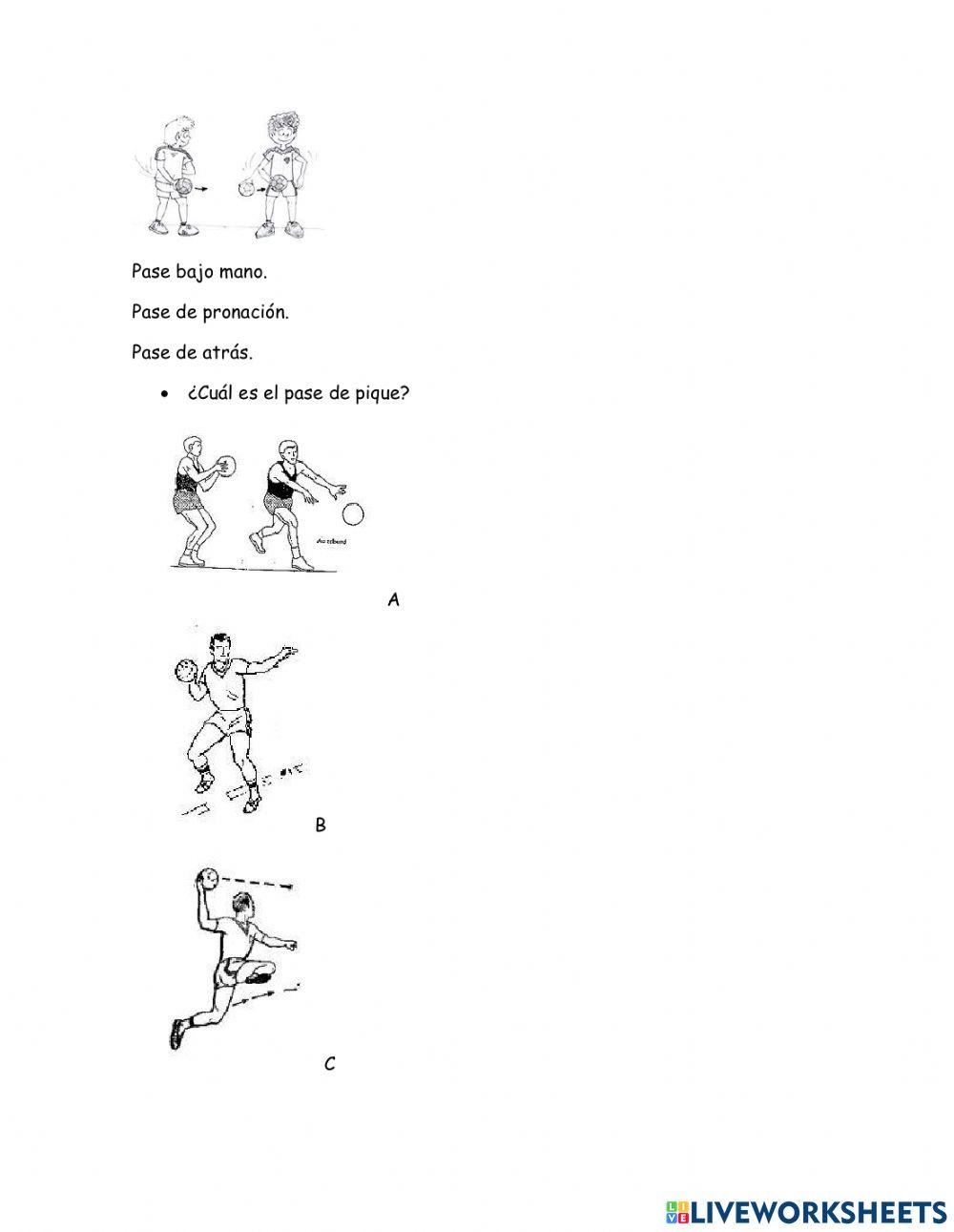 Tipos de pases y recepciones en handball 1855