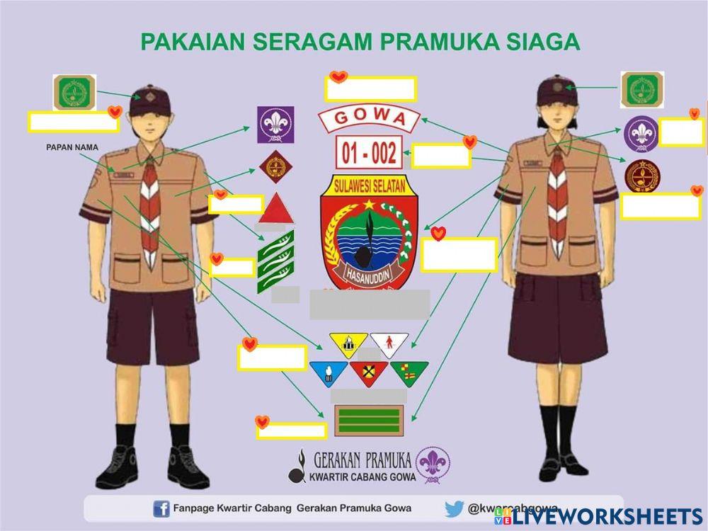 Atribut Pramuka Siaga online exercise for | Live Worksheets