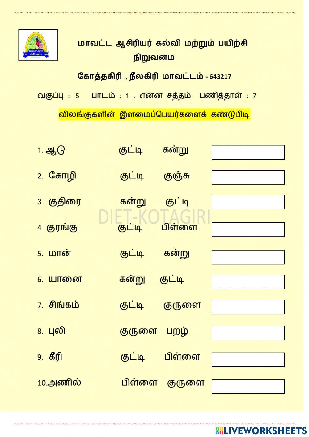 Worksheet 7 | Live Worksheets